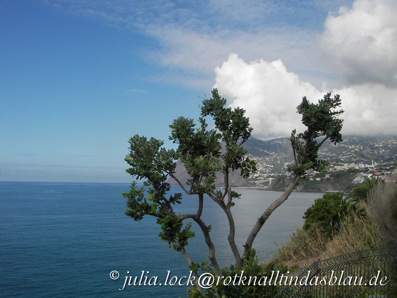 Madeira – Rot knallt in das Blau